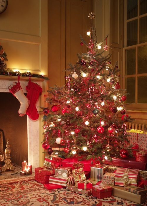 Δες πως να στολίσεις το καλύτερο Χριστουγεννιάτικο Δέντρο! - Eli.gr